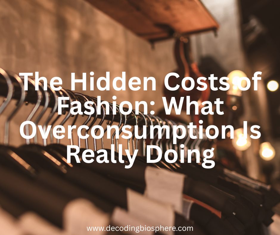 The Hidden Costs of Fashion: What Overconsumption Is Really Doing ...